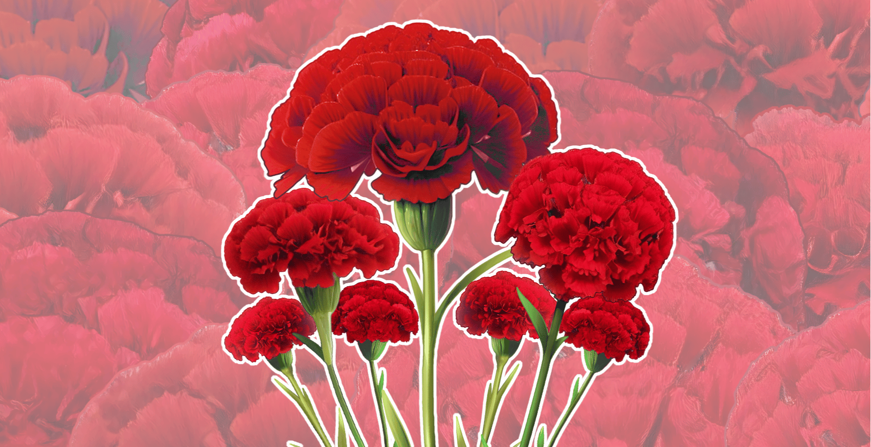 CSP Carnation Flower Brush