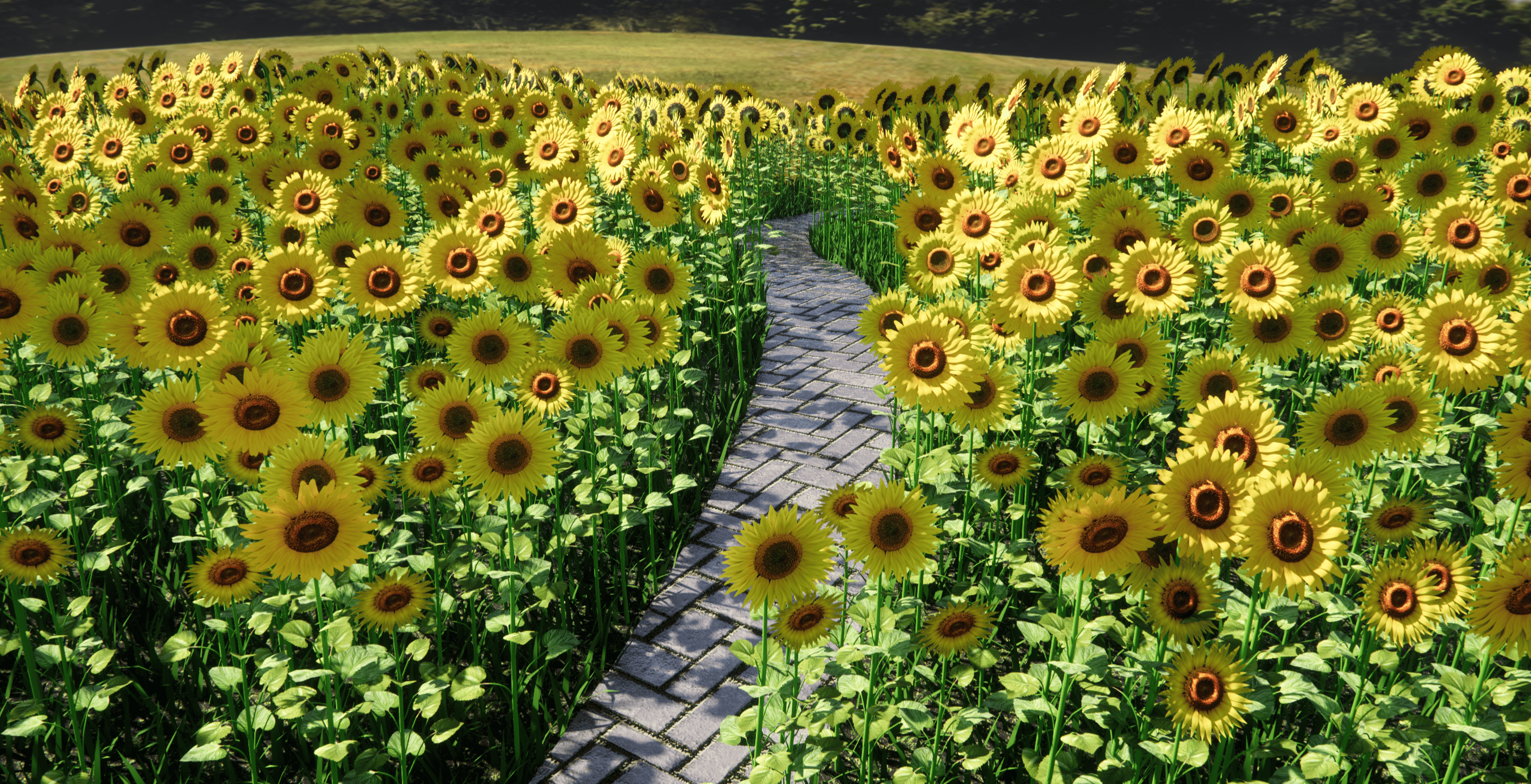 Flowers and Trees Series - Sunflower Trail