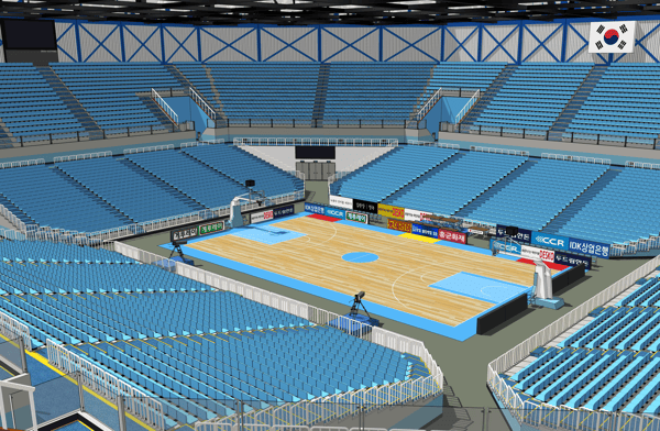 Professional Basketball Stadium