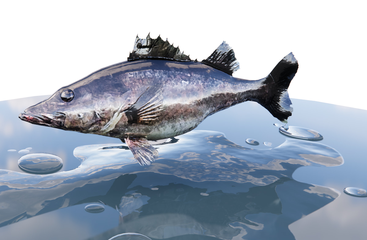 Food Ingredient Series - Fresh 3D Ara fish