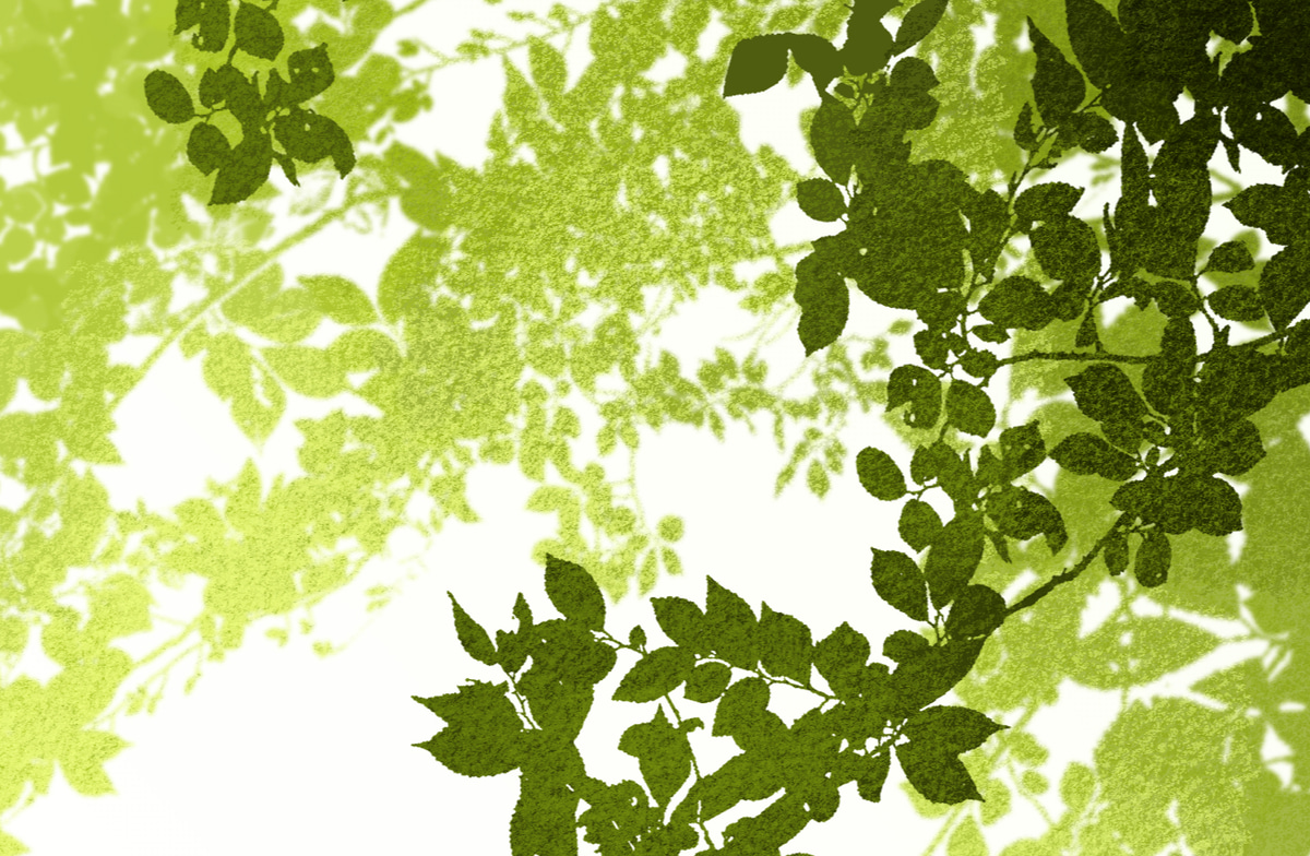 Leaf Brush 3 (10 types)