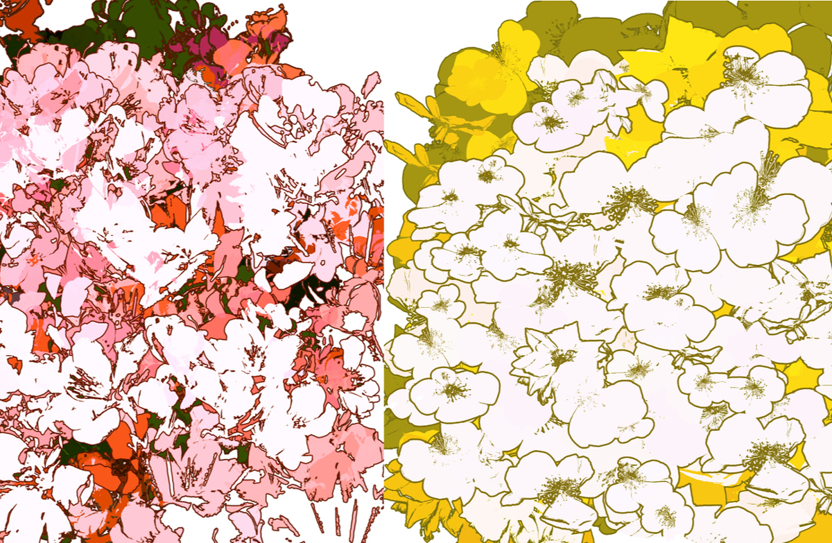 CSP Flower Silhouette Brush Set 2 (5 Total)