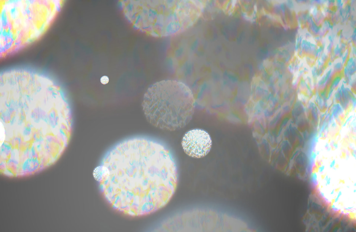 Glowing Light Brush (2 types)