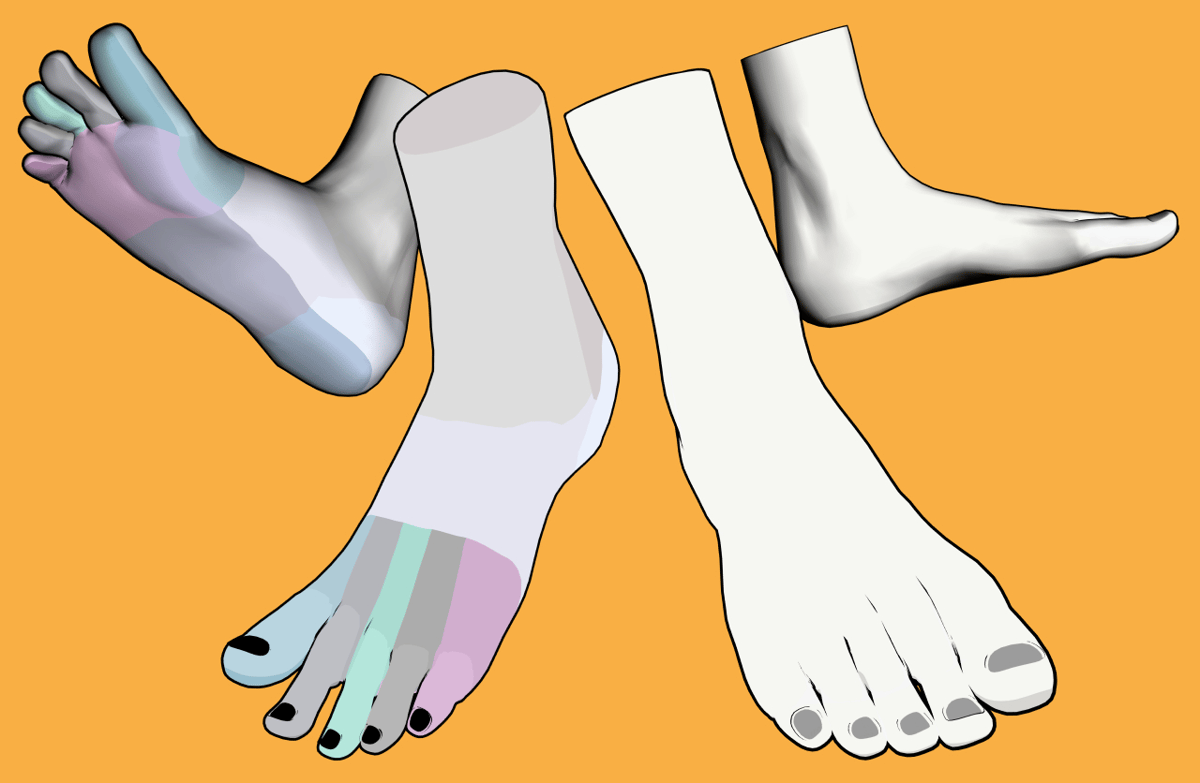 3D Foot Model